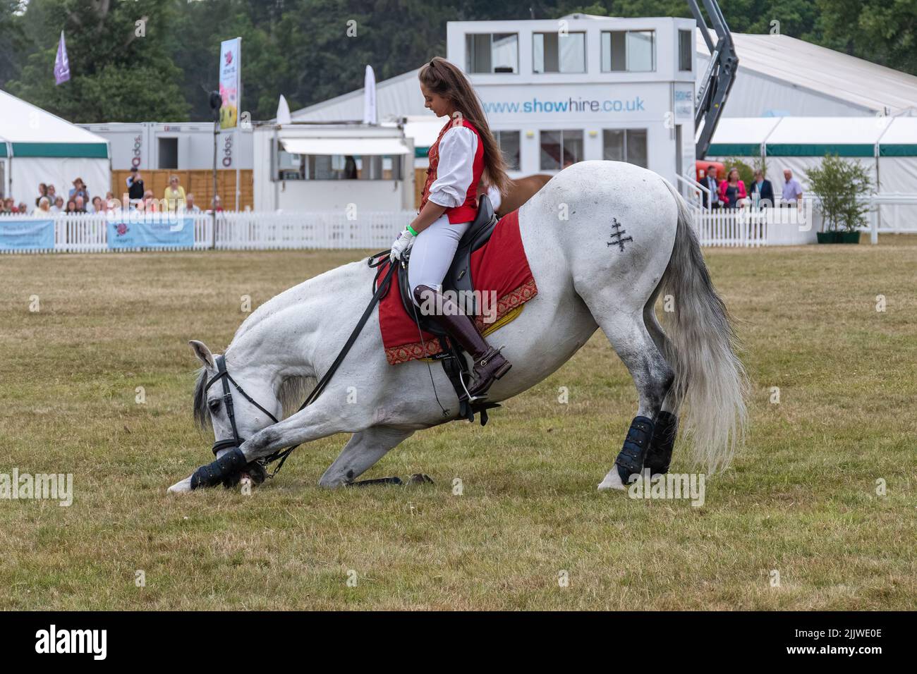 Atkinson Action Horses at the New Forest and Hampshire County Show in ...