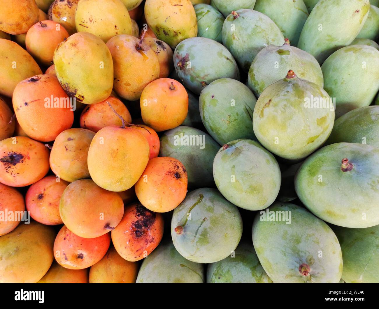 Tropical fruit on market - yellow mango and green mango for background ...