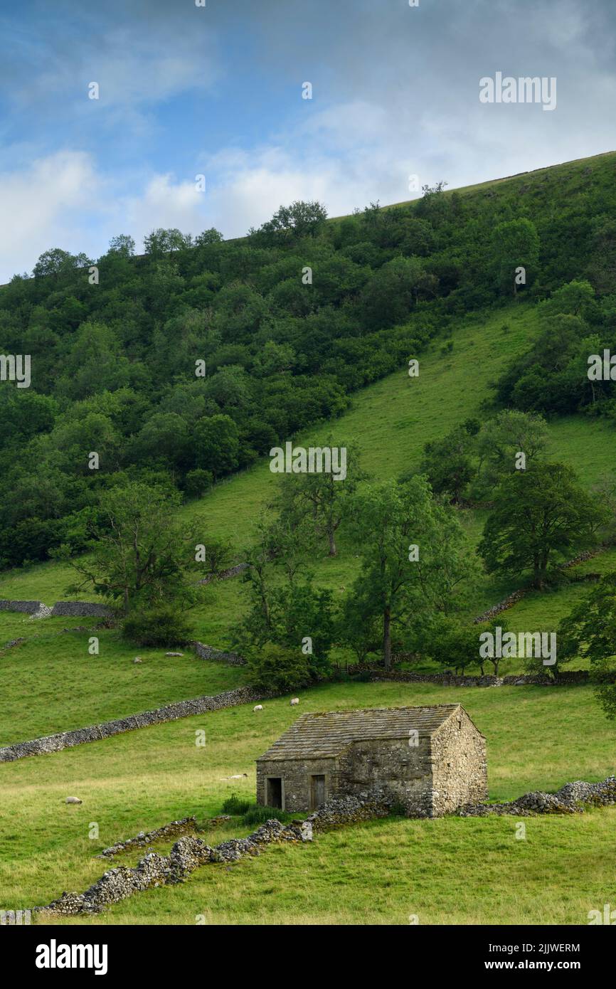 Beautiful Yorkshire Dales countryside (old stone barn, steep hill ...