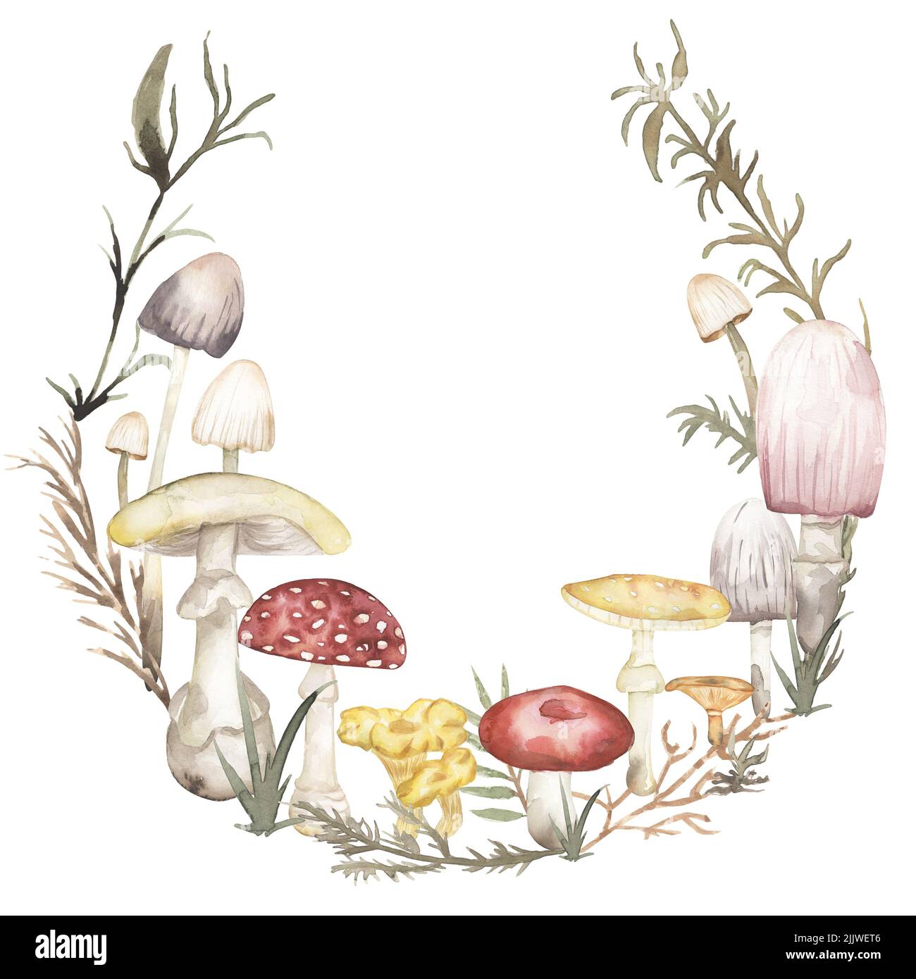 Mushrooms frame, Watercolor hand drawn fungi border illustration ...