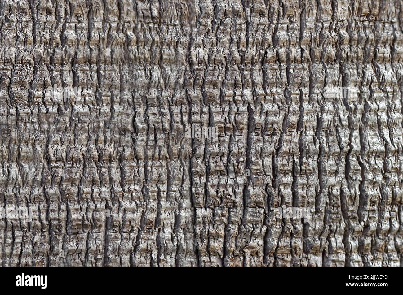 Fine texture pattern hi-res stock photography and images - Alamy