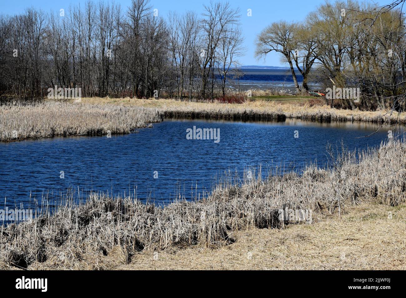 The marsh park in spring, Montmagny, Quebec, Canada Stock Photo - Alamy
