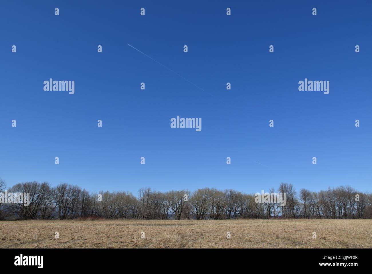 The marsh park in spring, Montmagny, Quebec, Canada Stock Photo - Alamy