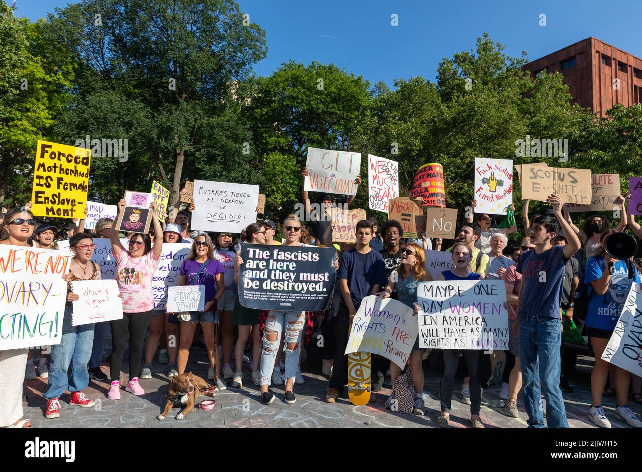 The protesters holding cardboard signs after Supreme Court Overturned ...