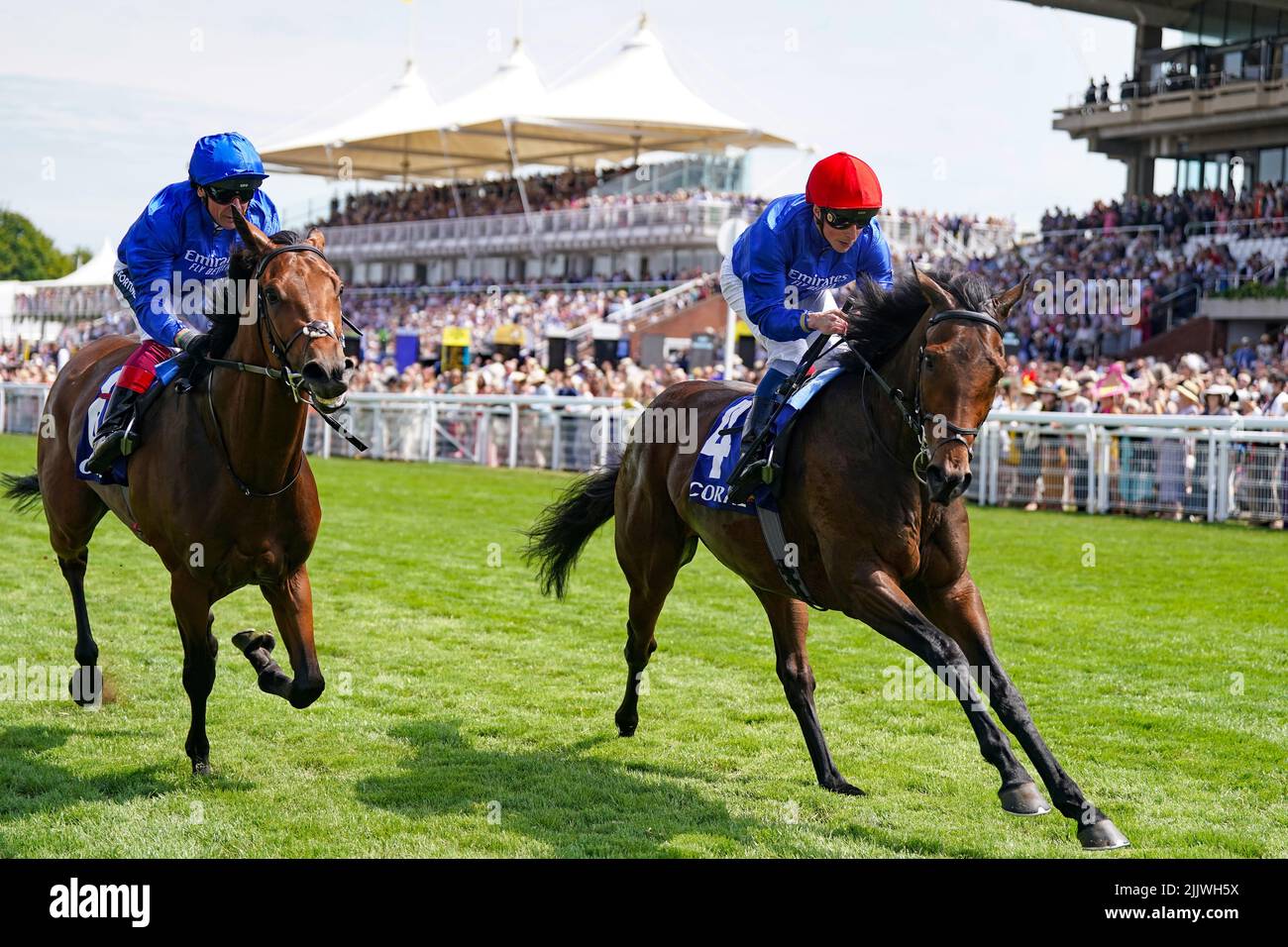 Warren point horse hi-res stock photography and images - Alamy