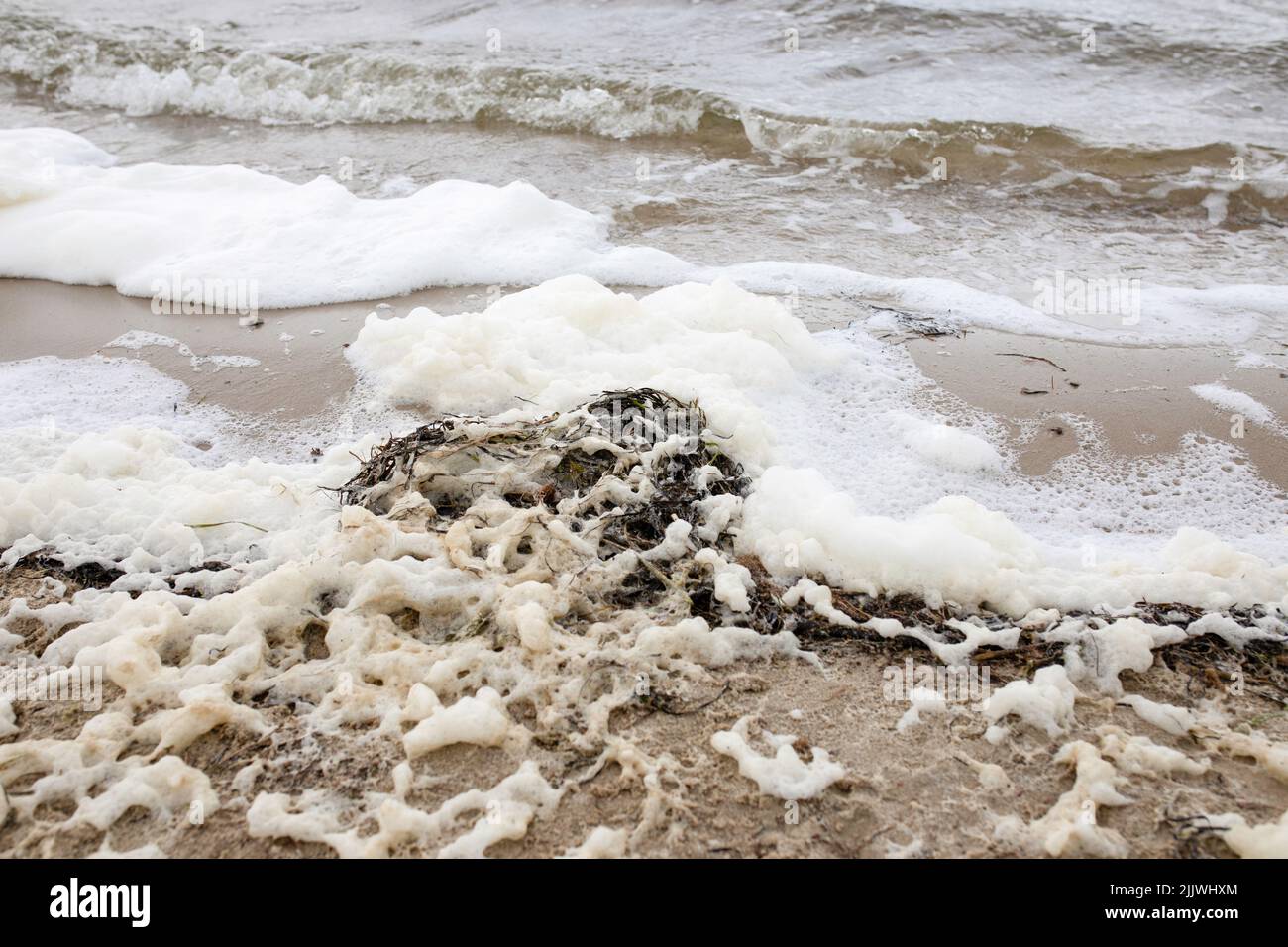 Sea foam on the beach Gulf of Gdansk Stock Photo - Alamy