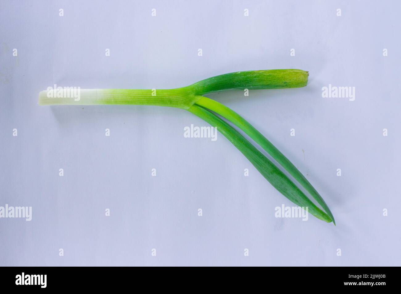 raw organic leek and leek slice isolated on white background Stock ...