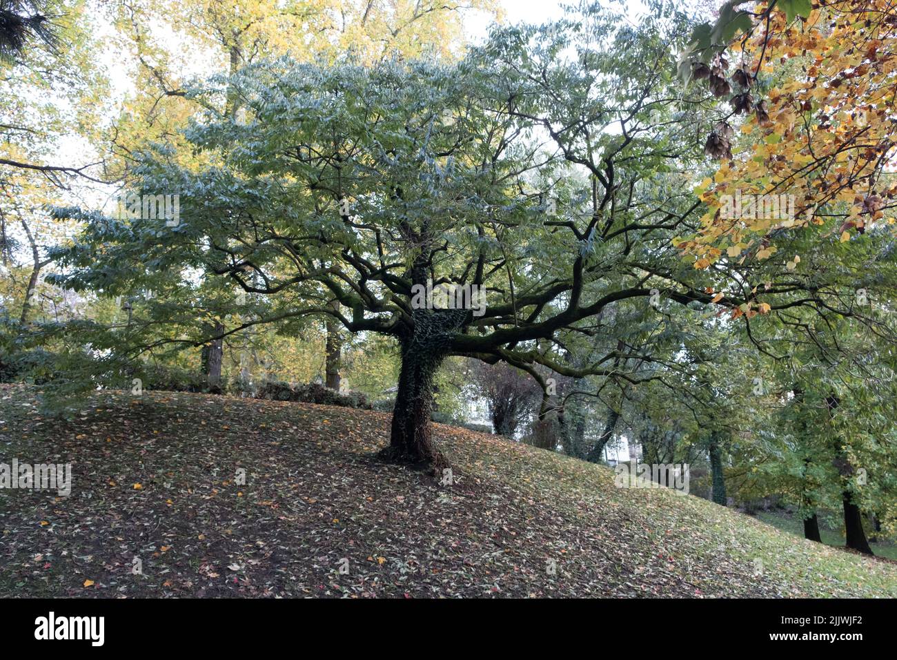 Parco del valentino beauty hi-res stock photography and images - Alamy