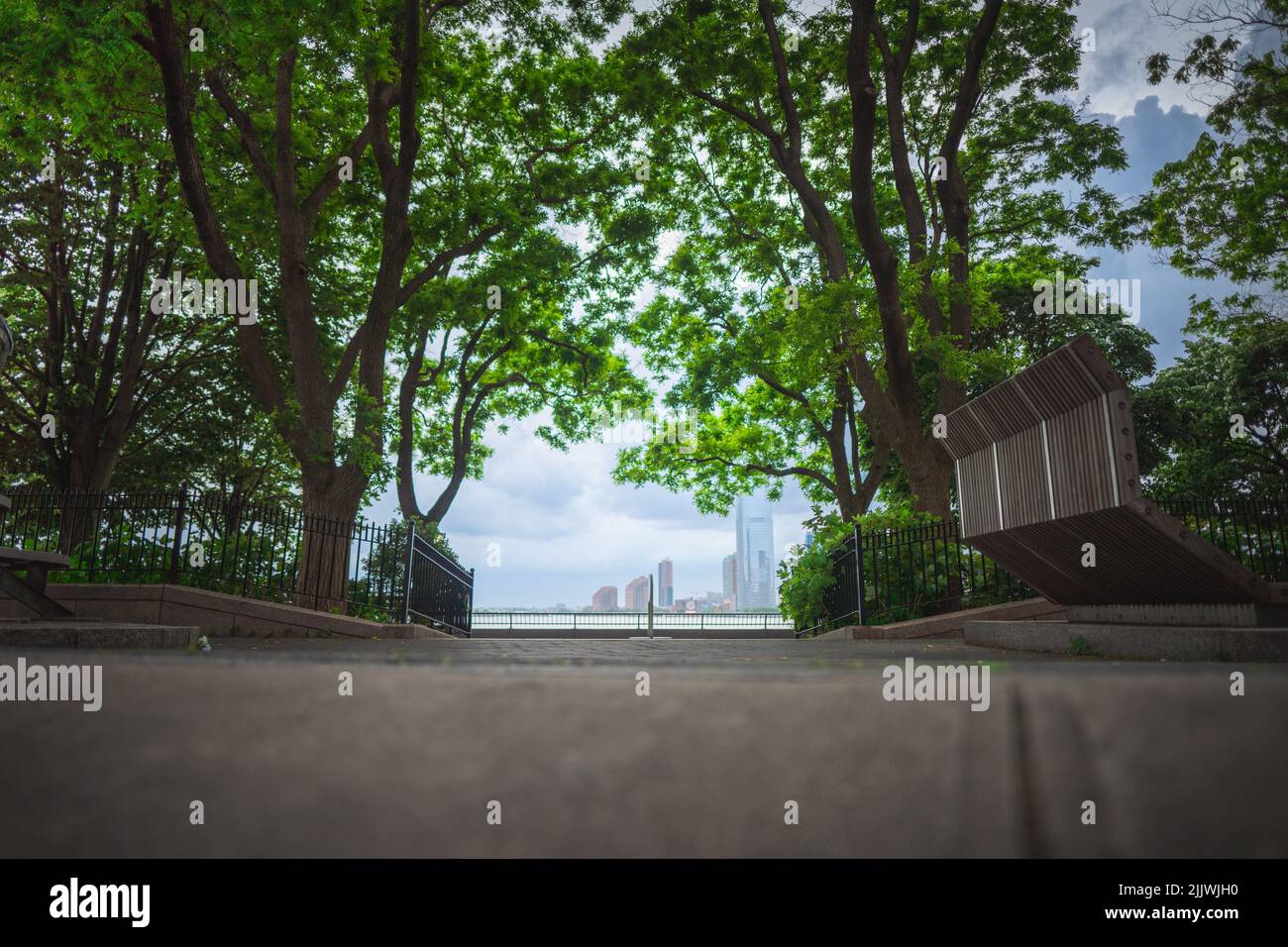 A ground-level shot of a park with trees against a city Stock Photo - Alamy