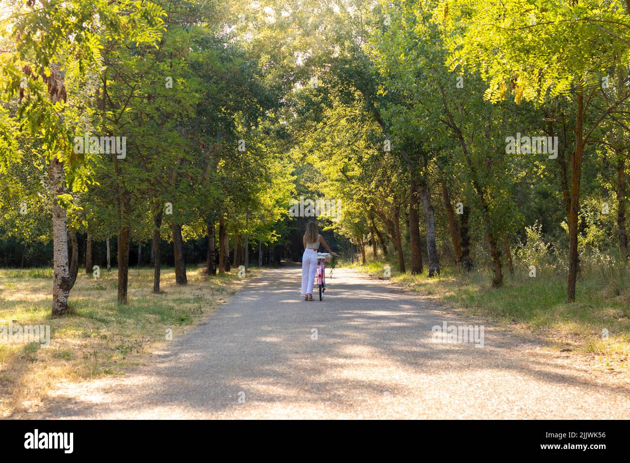 Far view of young woman alone carrying a bicycle on her side sorrounded ...