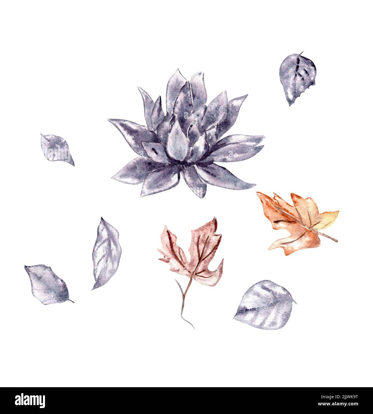 Hand drawn dry flowers and leaves Stock Photo - Alamy