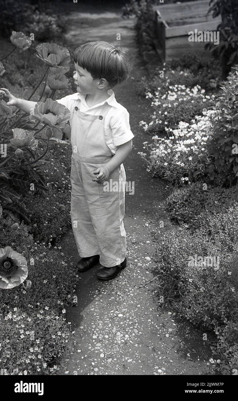 Flower Children 1960s