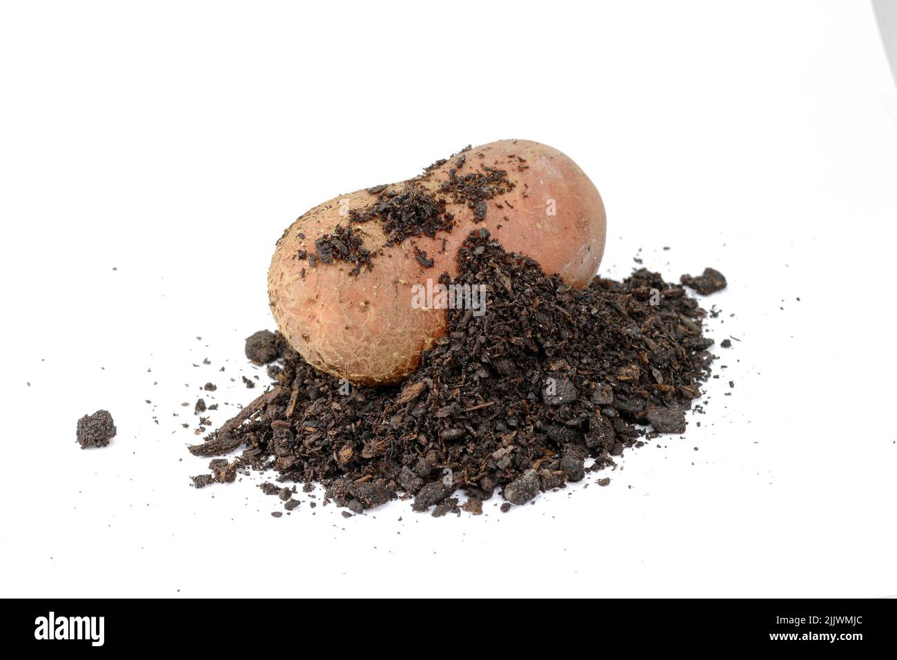 Organic soil and potato isolated on white background Stock Photo - Alamy