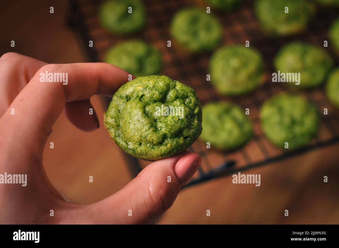 ready-made small green muffins with spinach on a baking sheet Stock ...