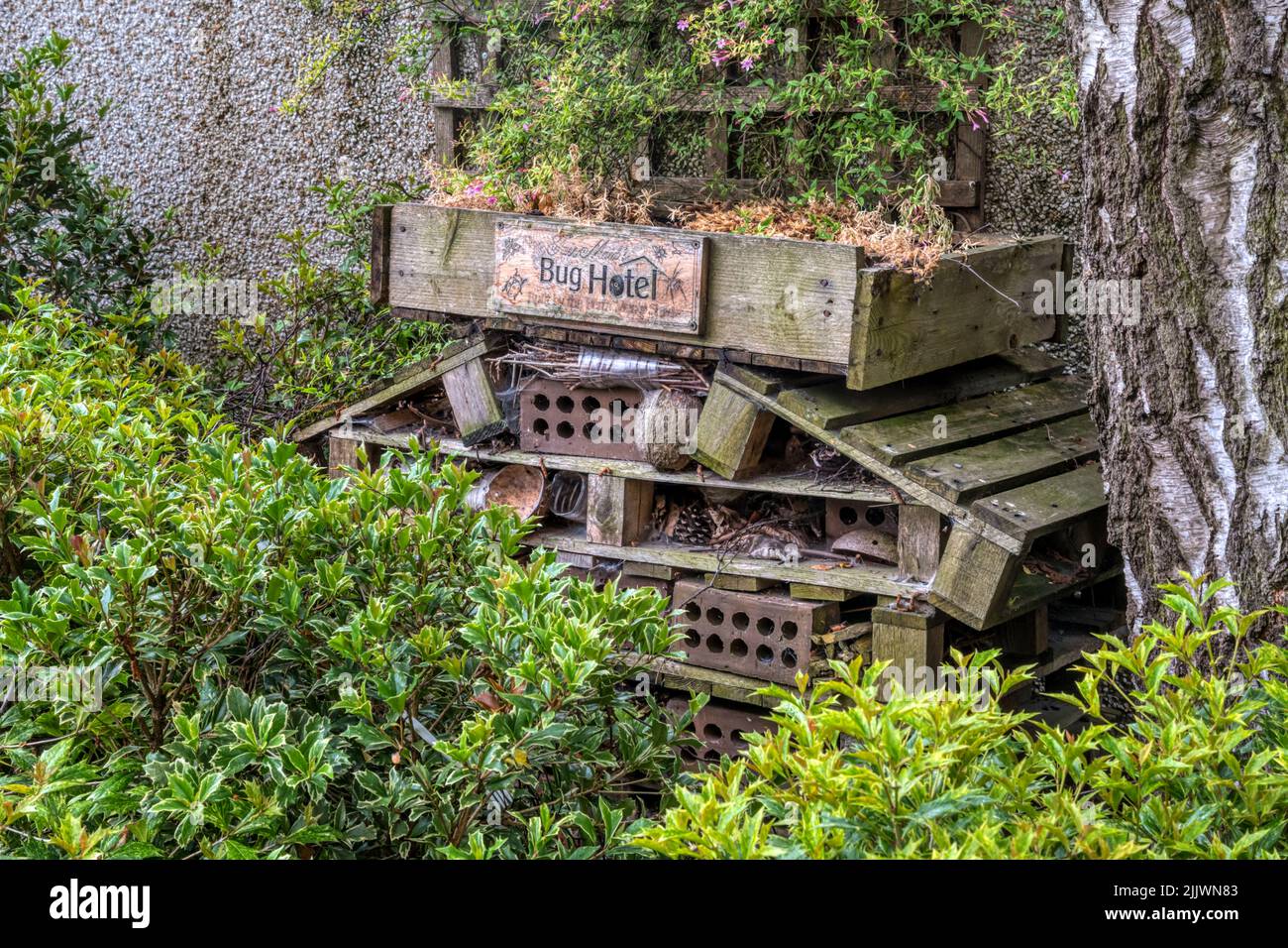 Bug hotel pallet hi-res stock photography and images - Alamy