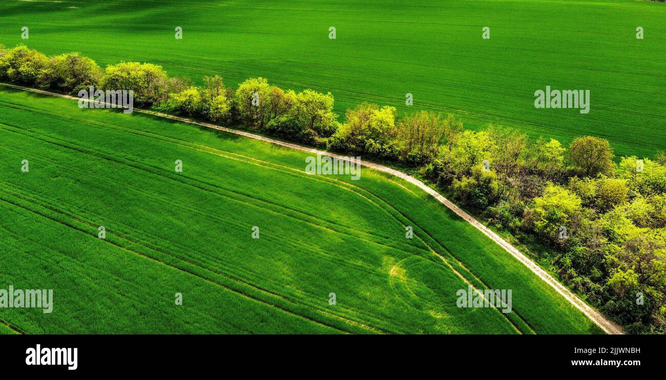 An aerial view of a narrow way passing through big green grass fields ...
