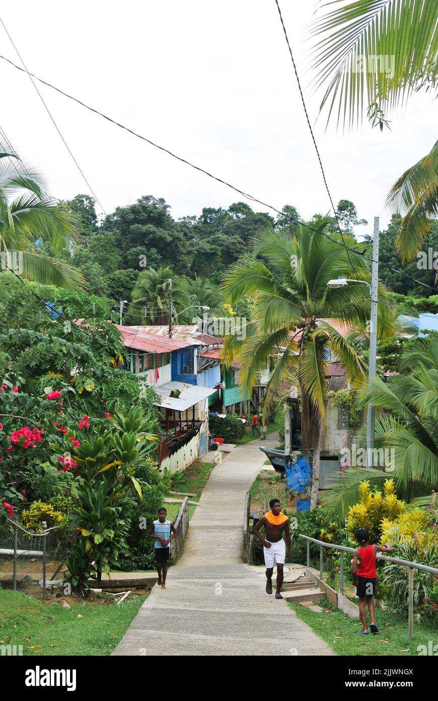 A vertical shot of kids walking on narrow slope street with vegetation ...