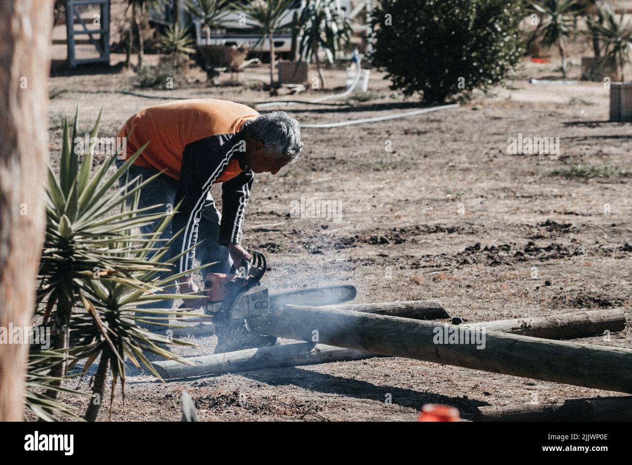 Trabajando hi-res stock photography and images - Alamy