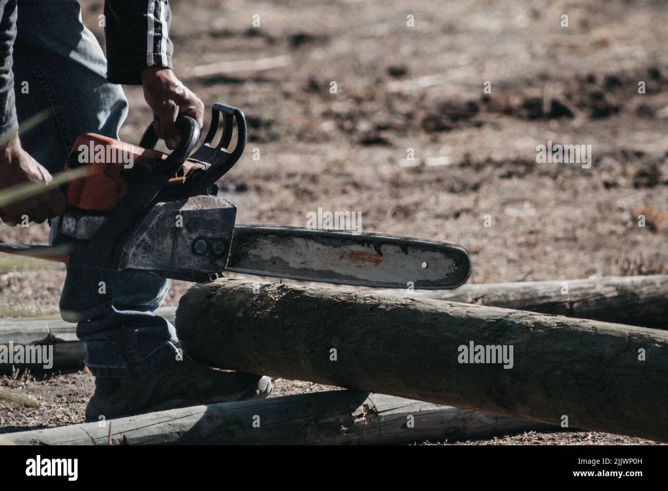 senior man cutting wood with chainsaw Stock Photo - Alamy