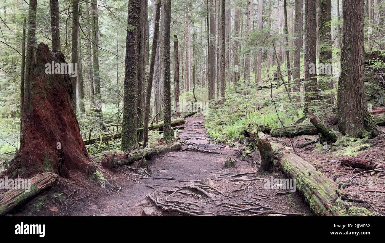 Whyte lake park hi-res stock photography and images - Alamy