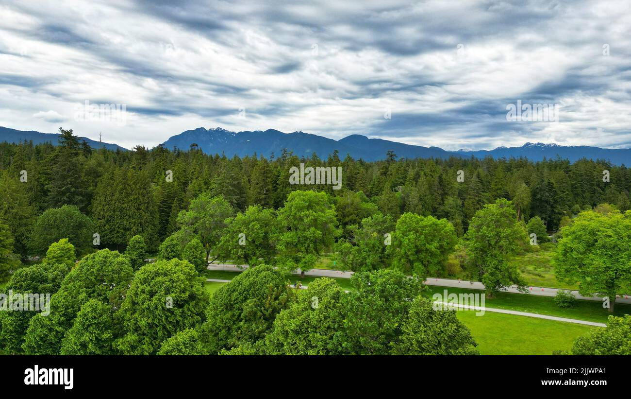 A beautiful scenery of trees in natural landscape with mountain in the ...