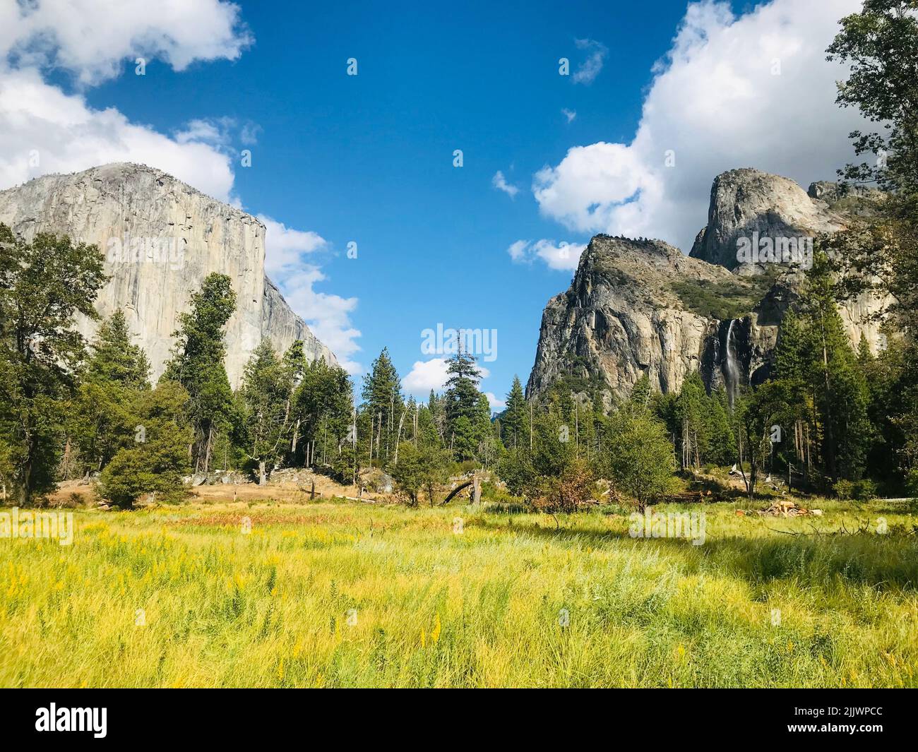 The green landscape with tree and rocky cliffs in Yosemite National ...