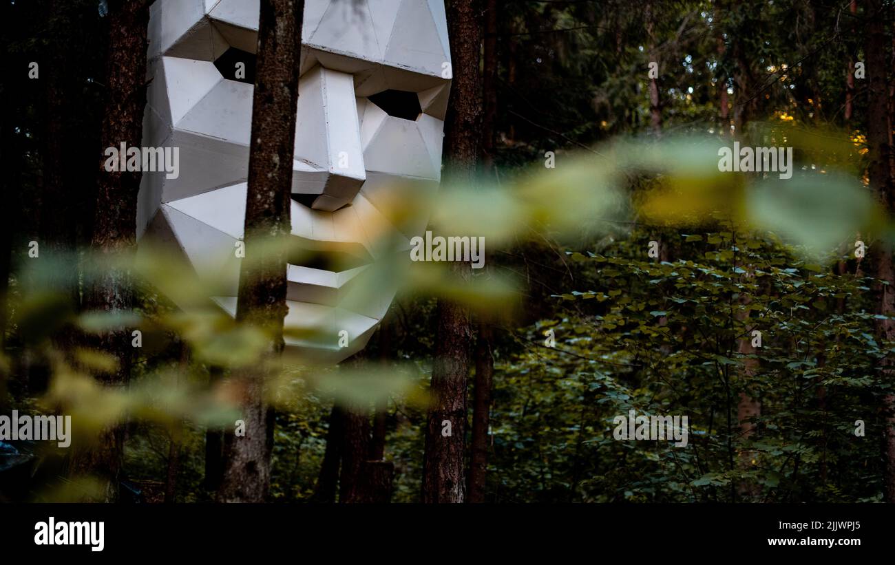 a selective shot of a mysterious white mask of human face surrounded by ...