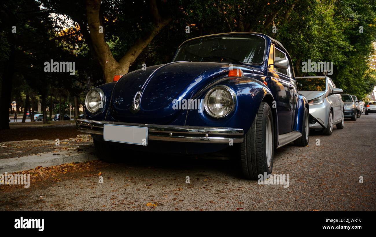 front view of the old Volkswagen beetle Stock Photo - Alamy