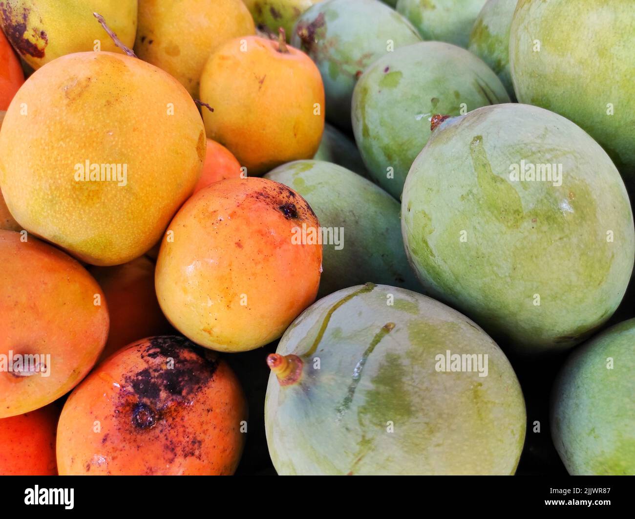 Kalabaw mangga hi-res stock photography and images - Alamy