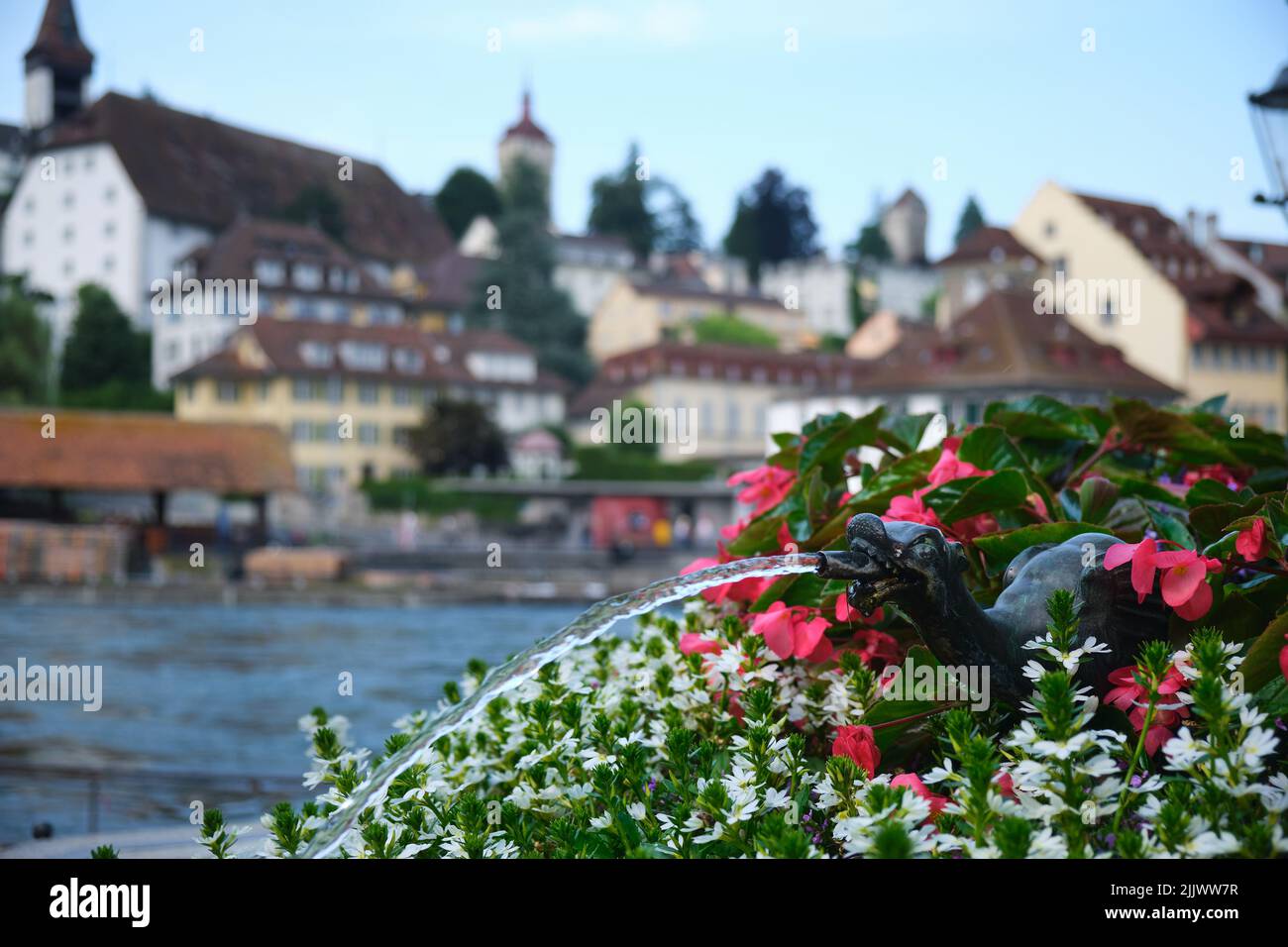 A closeup shot of a detail of a water tap with animal motif against the ...
