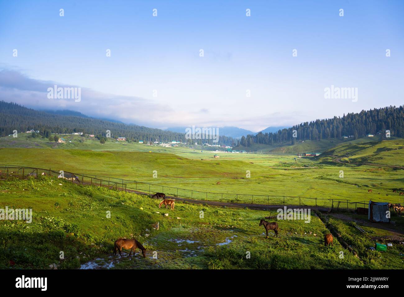 Summer in the Himalayas. Scenic beauty of Gulmarg, the heaven on earth ...