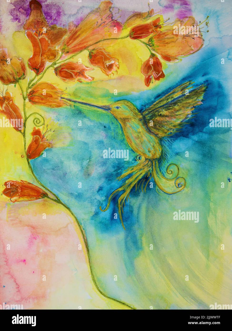 Colibry hi-res stock photography and images - Alamy