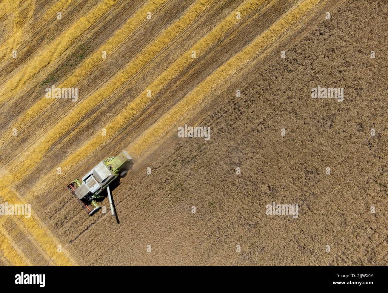 an aerial view of a combine harvesting wheat in the field, crop, ripe ...