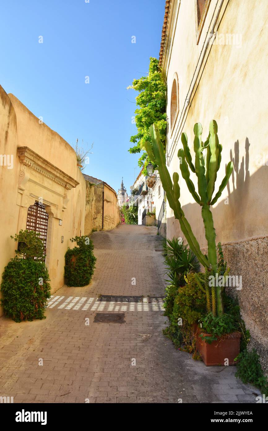 A vertical shot of a narrow alley between old buildings in the old town ...