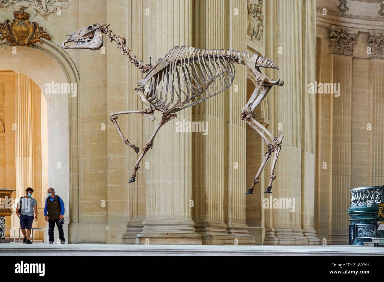 France, Paris, Les Invalides and army museums, formally the Hotel ...