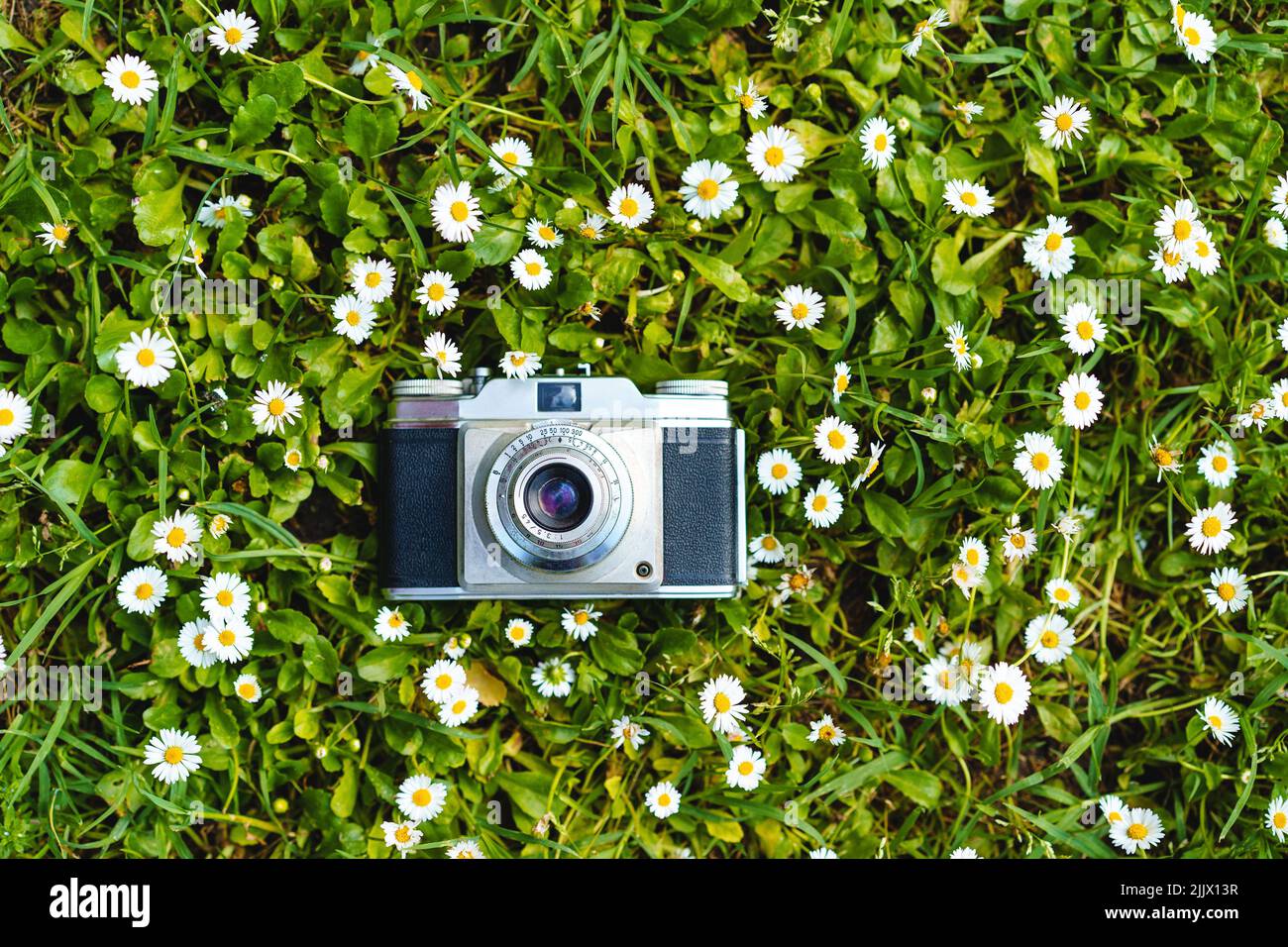 Vintage daisy hi-res stock photography and images - Alamy