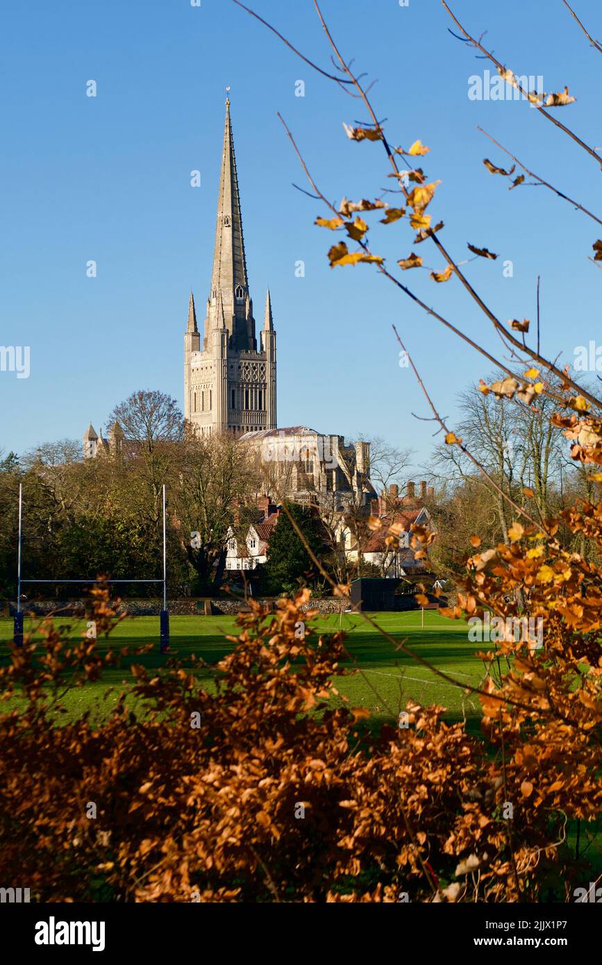 A vertical shot of the Norwich castle seen behind the autumn trees ...