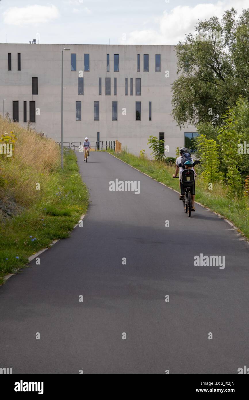 A vertical shot of people riding a bicycle on asphalt road leading to ...
