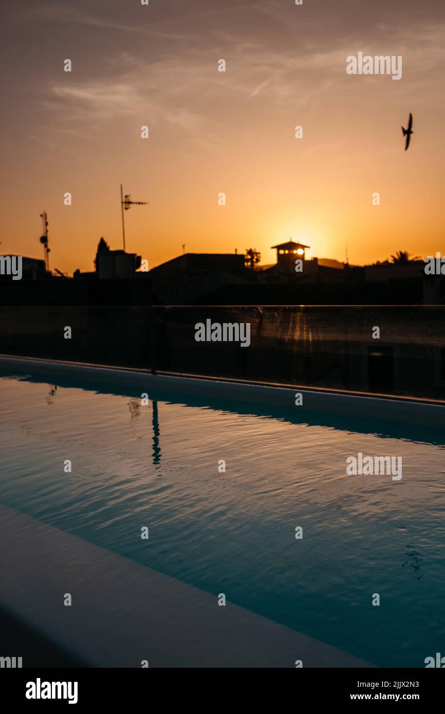 Outdoor swimming pool on rooftop in town with silhouettes of bird and ...