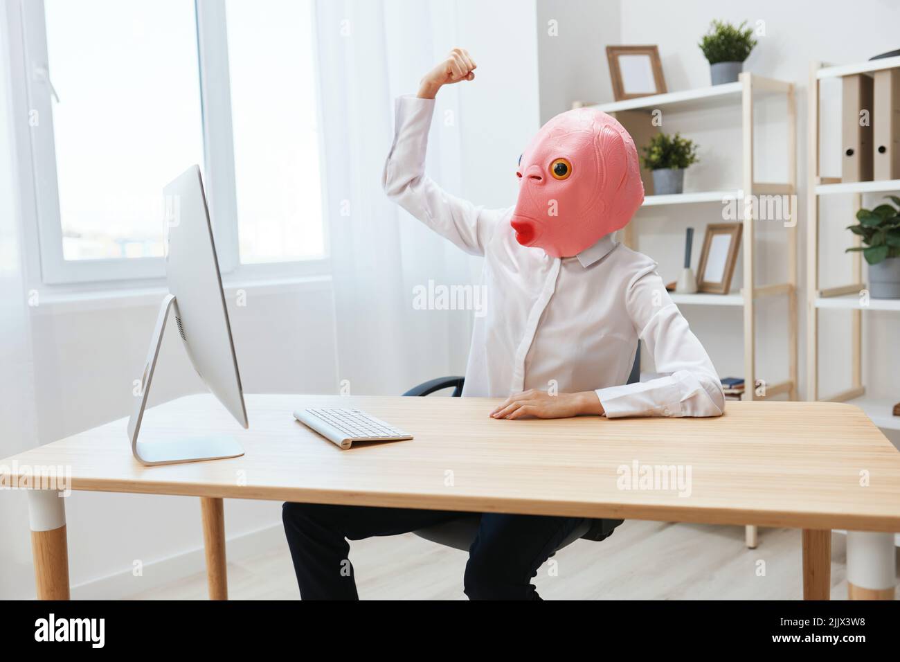 Data analyst funny hi-res stock photography and images - Alamy