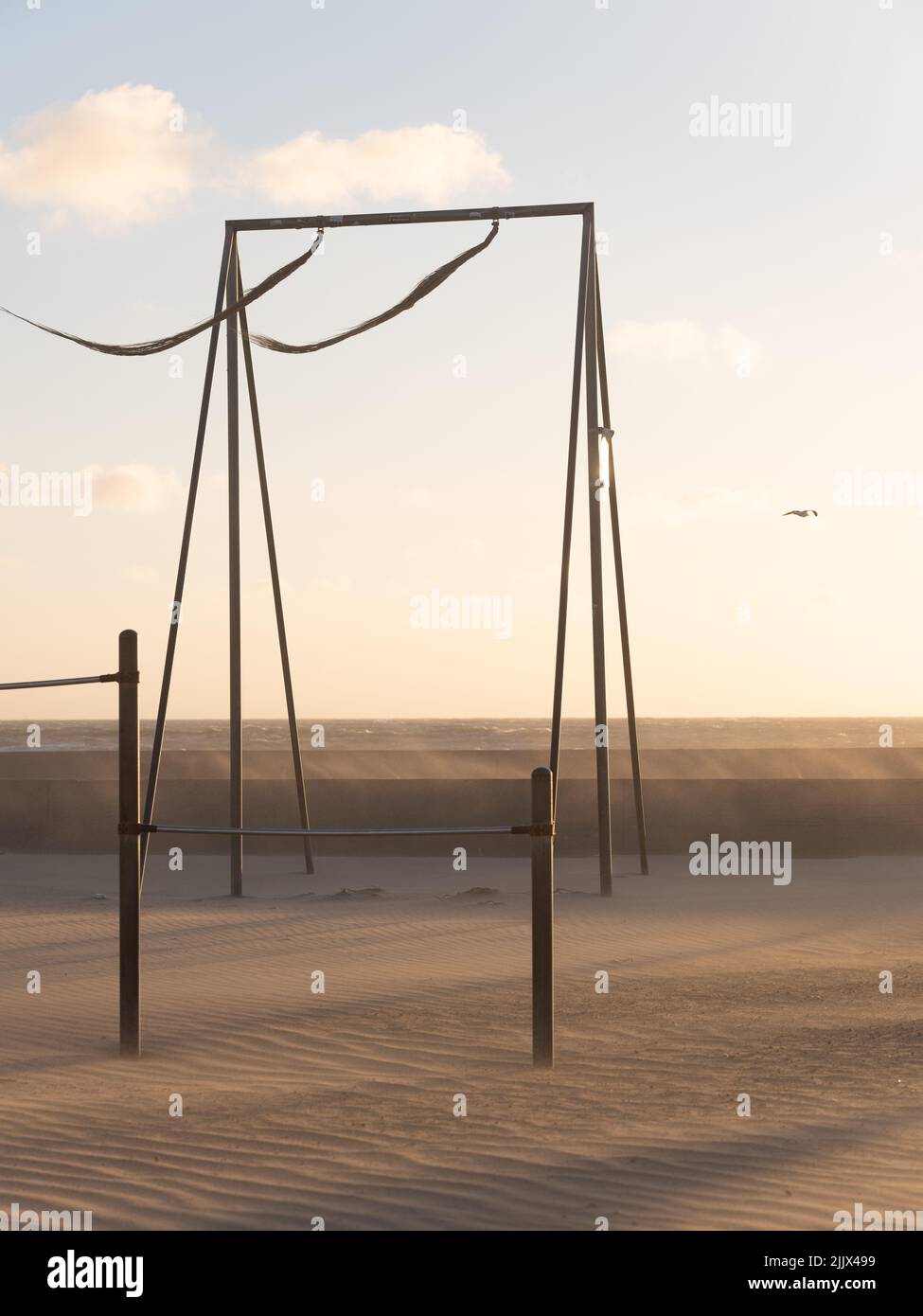 Venice Beach Outdoor Gymnastic Rings