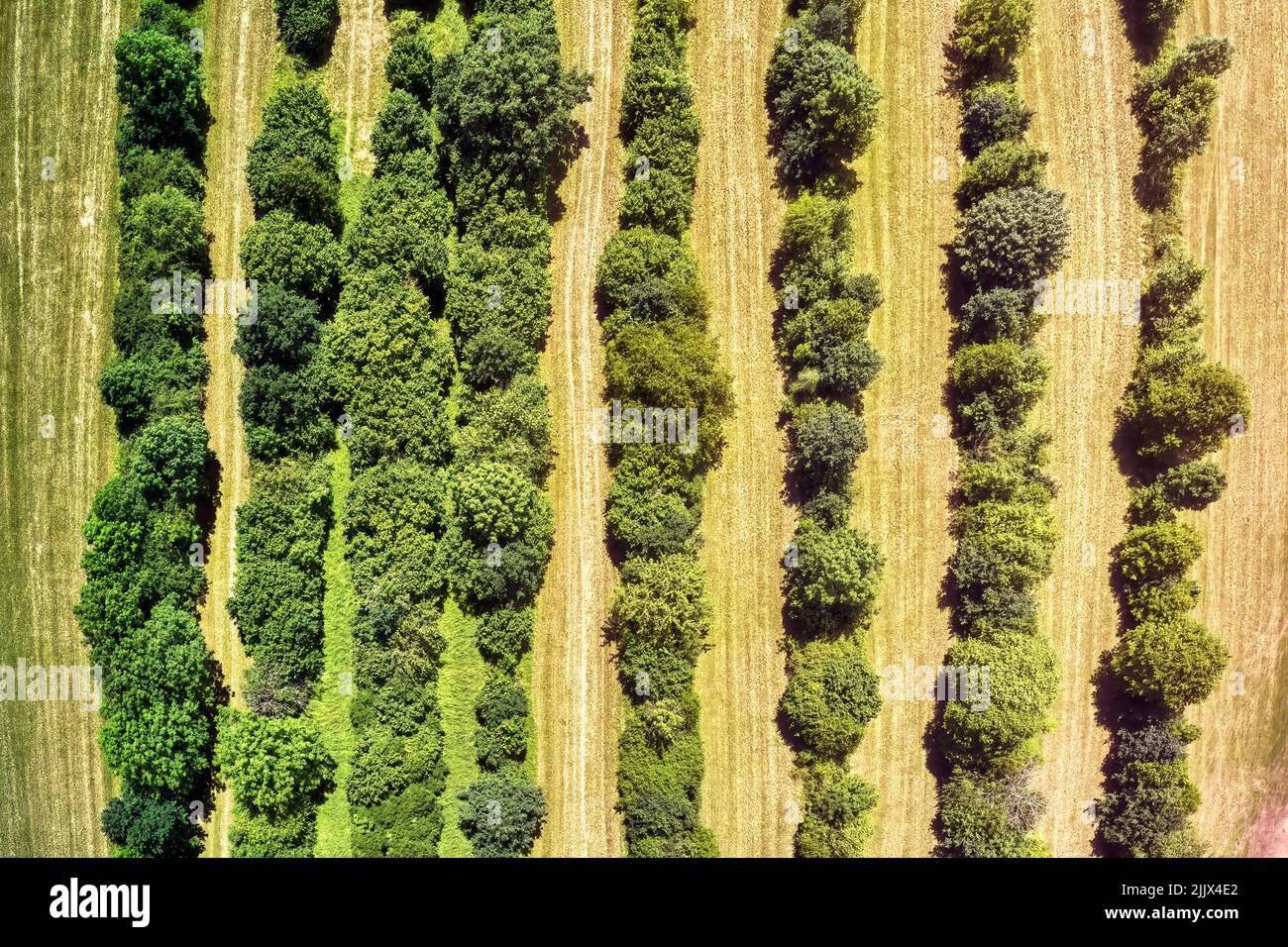 Flying in a straight line hi-res stock photography and images - Alamy