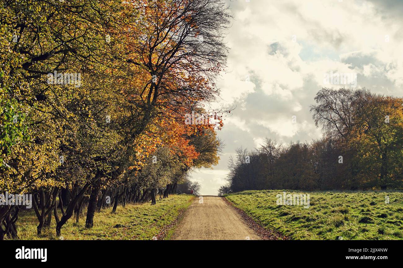 A country road alongside a beautiful autumn landscape with trees ...