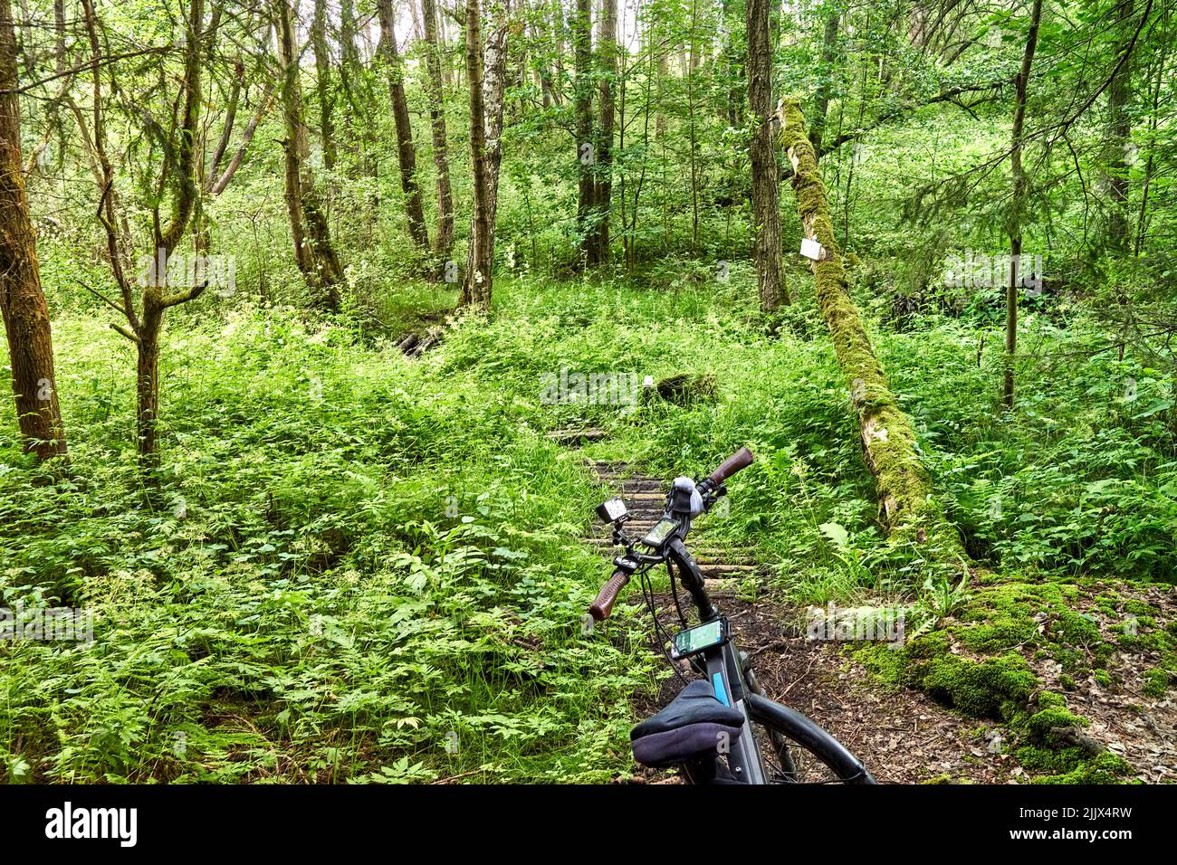 Through handlebars hi-res stock photography and images - Alamy