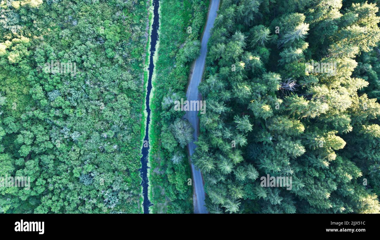 The top view of the road and river passing through the forest and green ...