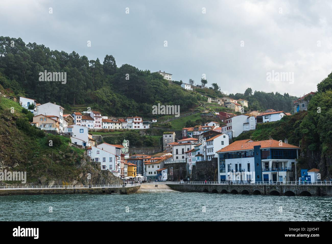Residential buildings located on shore with tall green trees near ...