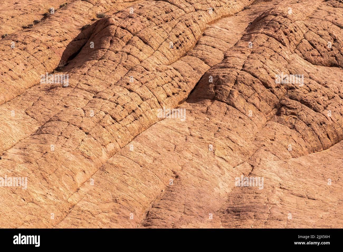 Abstract relief rough gritty brown surface of background texture Stock ...