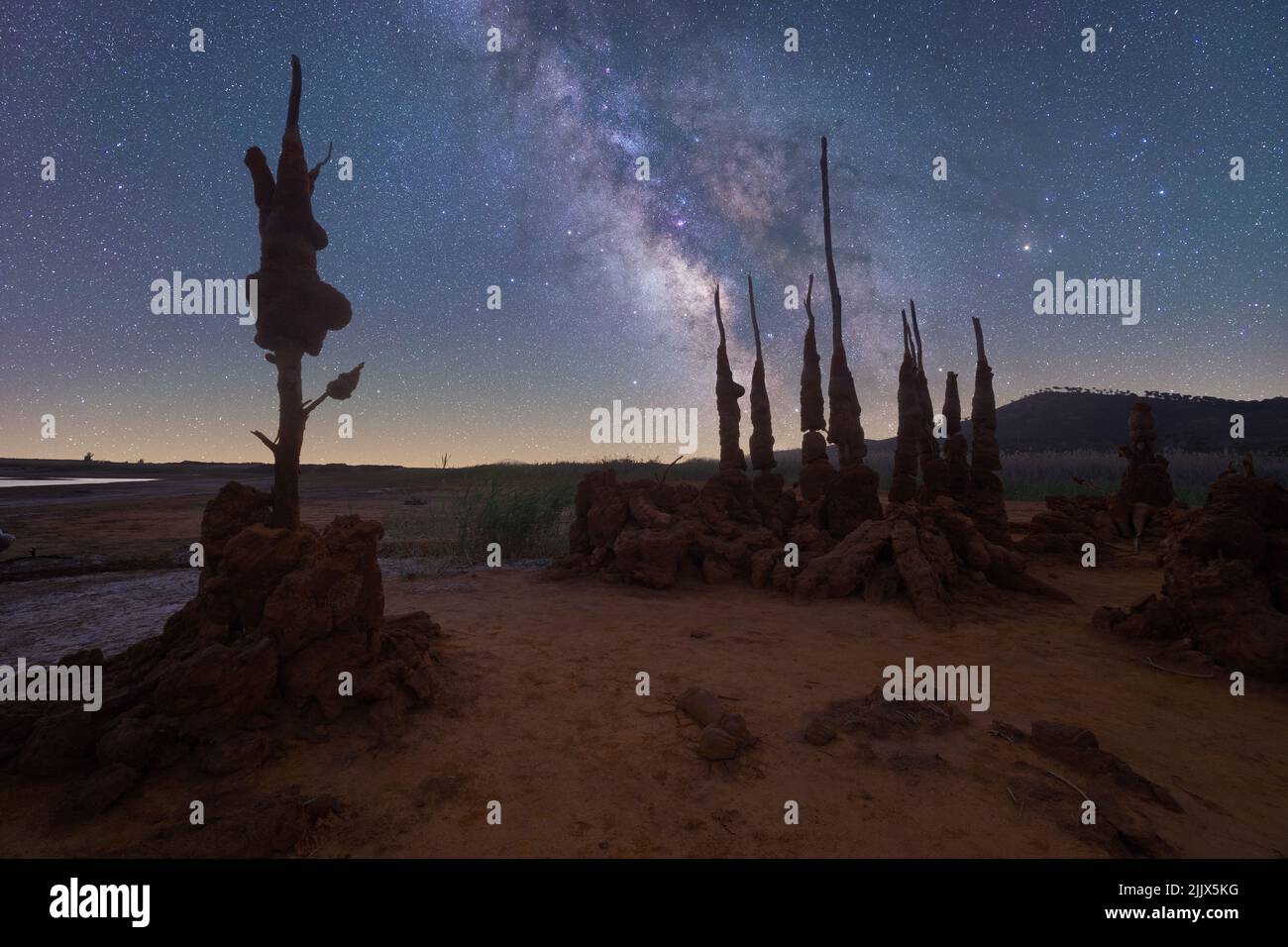 Dry tree on land against spectacular scenery of night sky with glowing ...