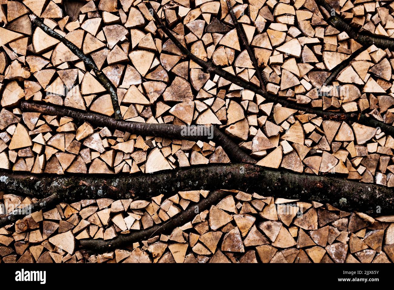Full frame of thick tree log with dark branches near heap of dry woods ...