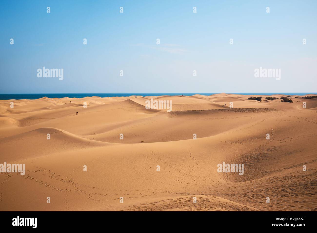 Sandy dunes with dry desert terrain located against sea and cloudless ...